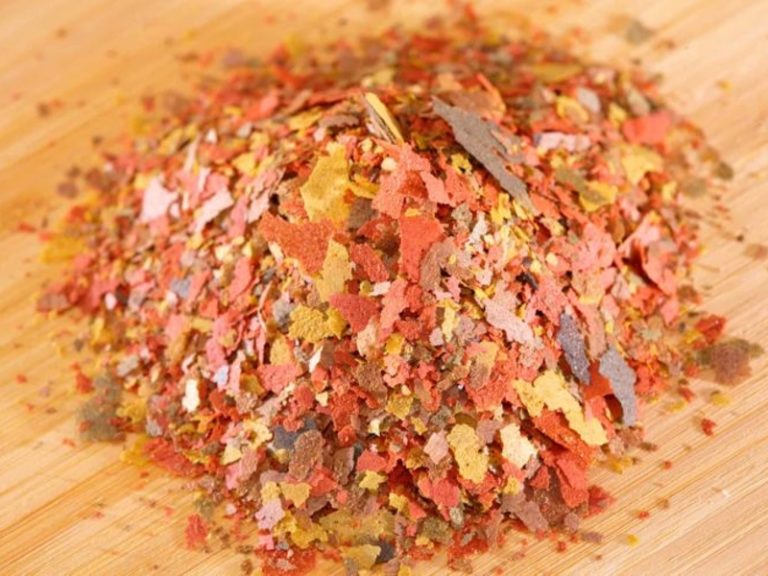 Top 5 Best Flake Food For Angelfish And How To Choose Them