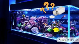 Aquarium Salt For Betta Fish - 7 Questions You Should Notice