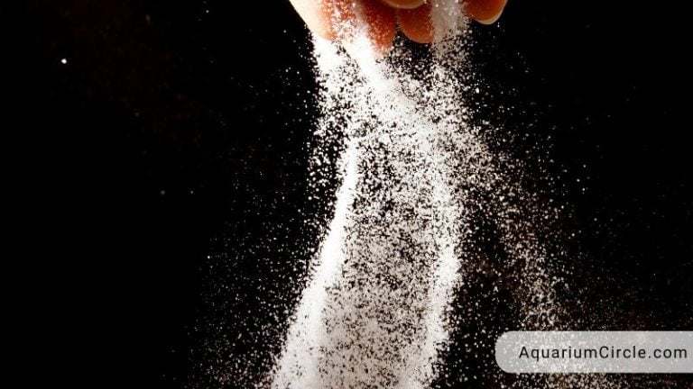 Aquarium Salt For Betta Fish - 7 Questions You Should Notice